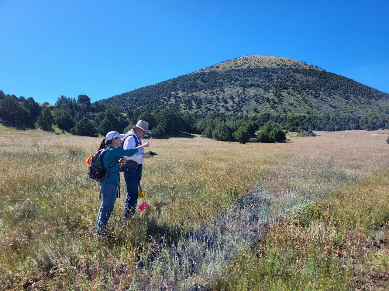 Cultural Resources Office | NM State Land Office